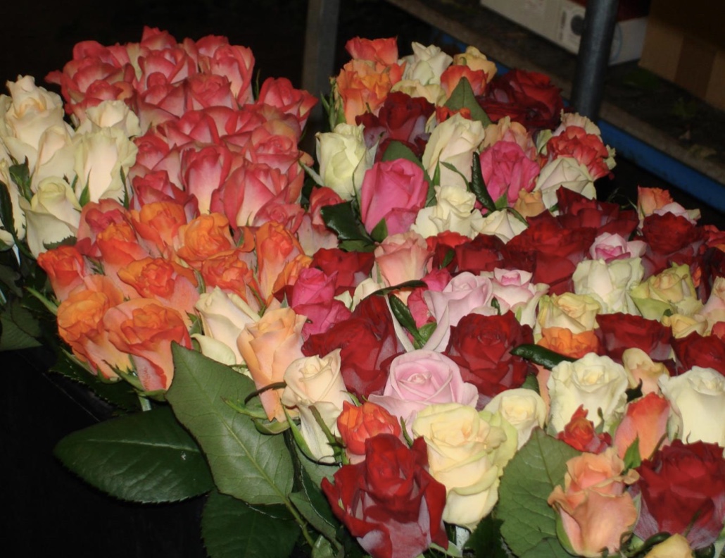 Roses Galore From the Gilded Age to San Marino Ranch – Inside the ...