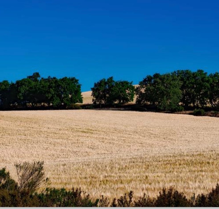 San Marino Ranch -Henry E. and Arabella Huntington’s Property (1903 ...