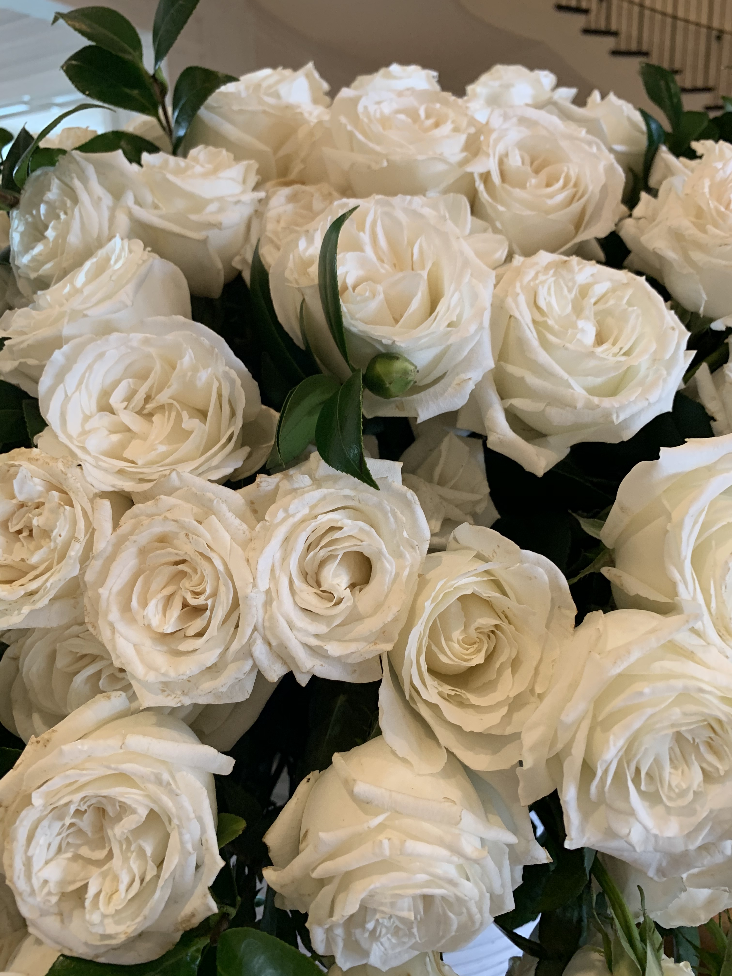 Mrs. Arabella Huntington and her Southern Charm – Inside the Huntington ...