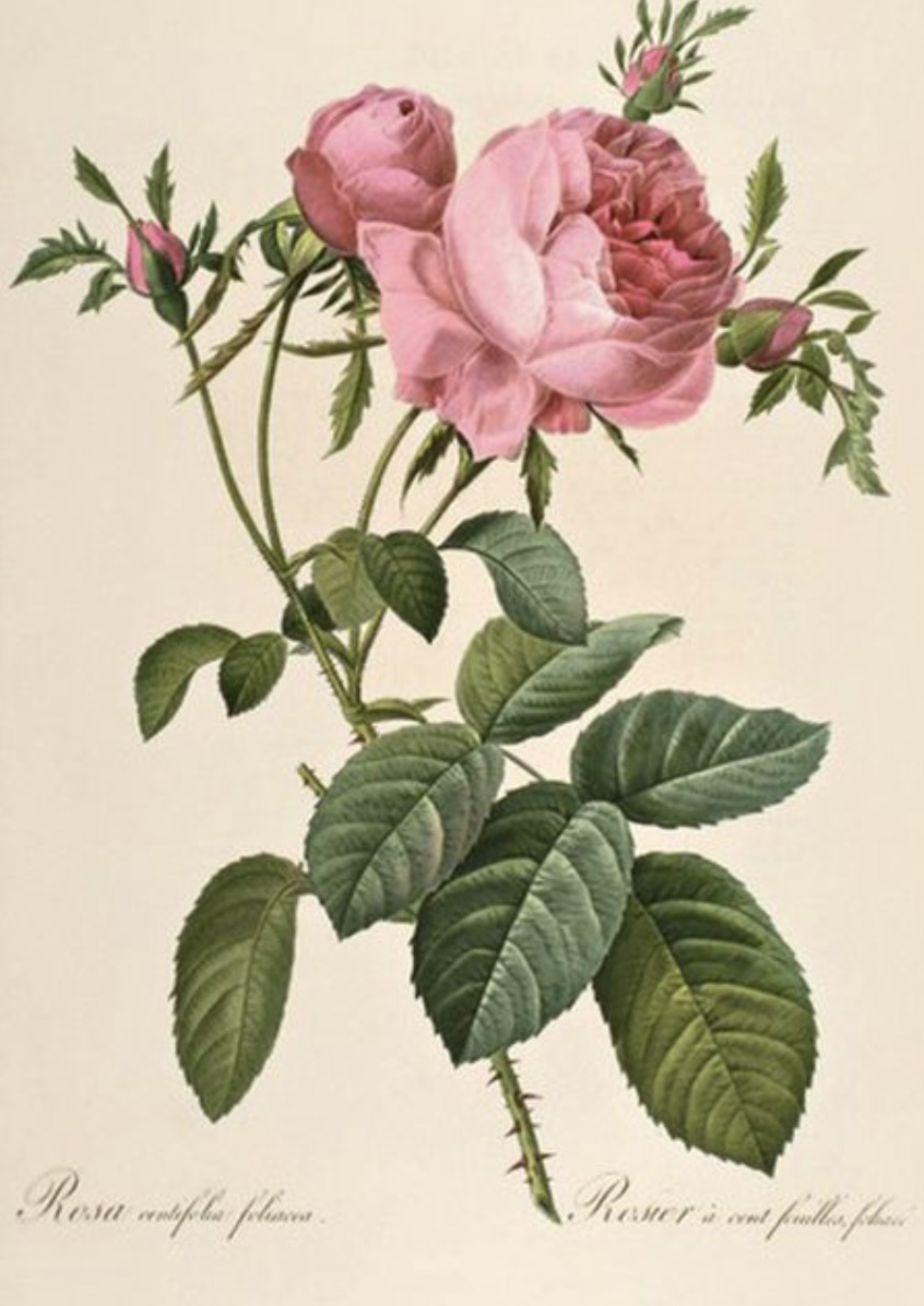 Mrs. Arabella Huntington was enchanted by Queen Marie Antoinette of ...